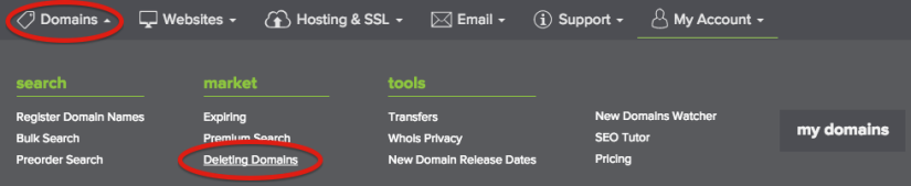 Everything you need to know about domain backorders