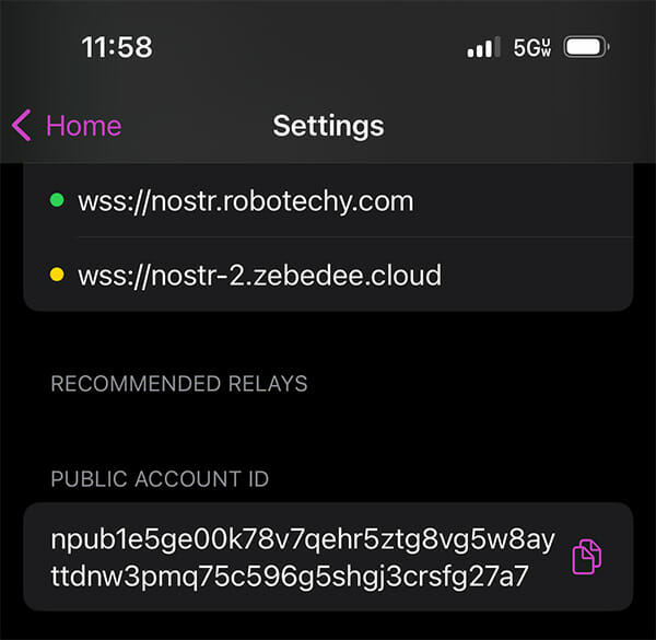 How to get NOSTR Verified on a custom domain - Name.com Blog